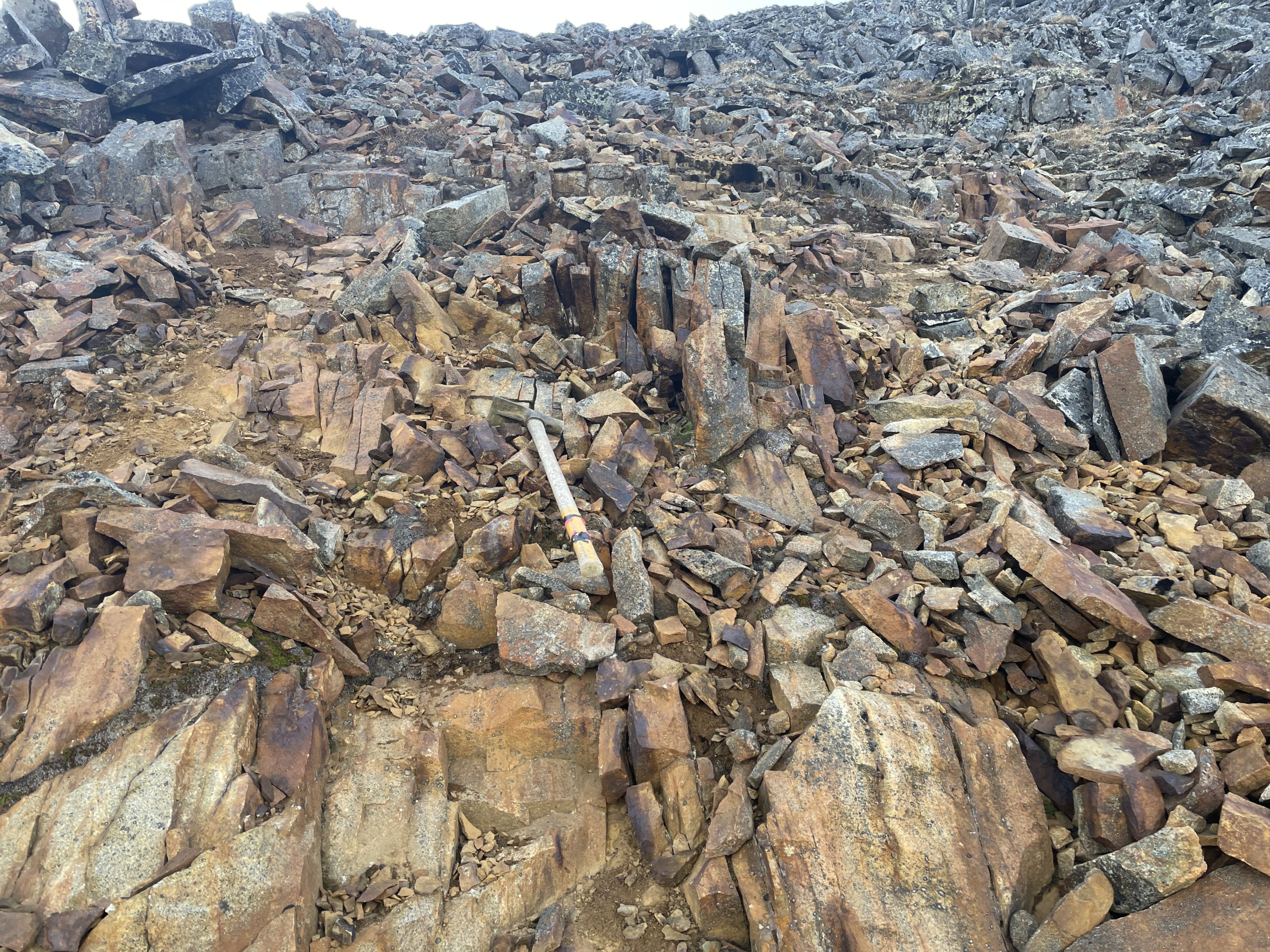 HIT - Rackla Metals Inc.